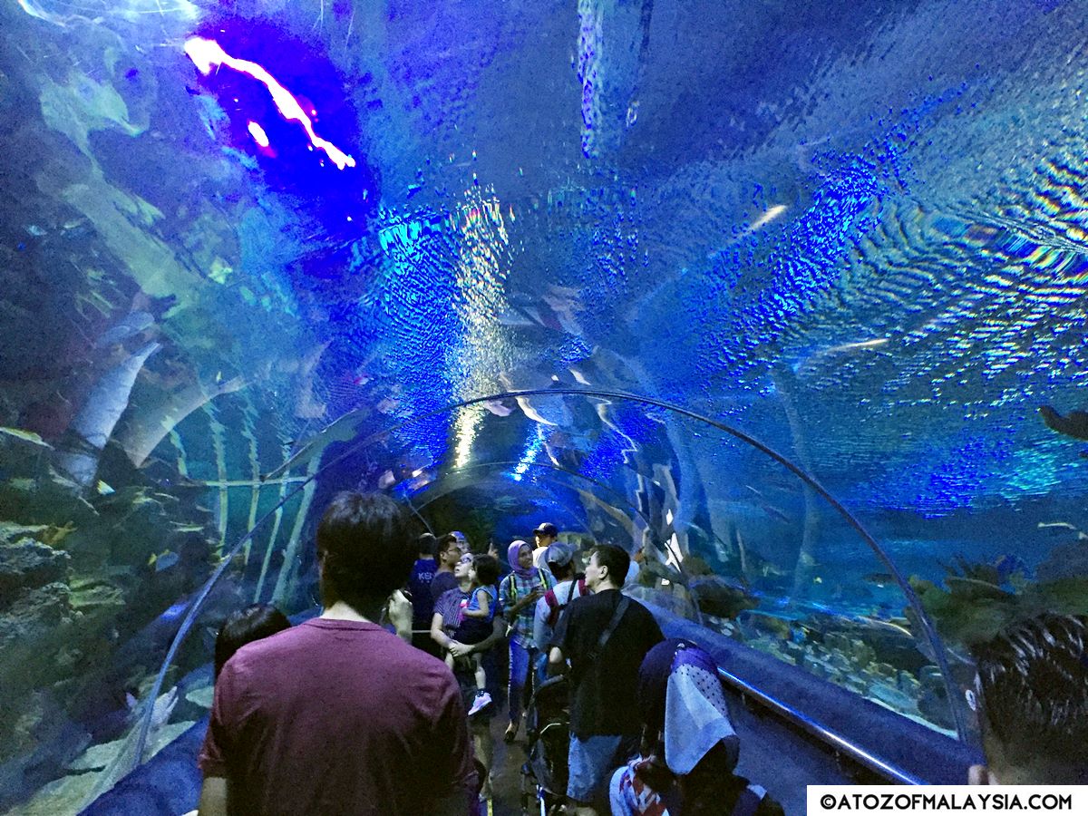 "Living Ocean" Oceanarium, Aquaria KLCC - A to Z of Malaysia