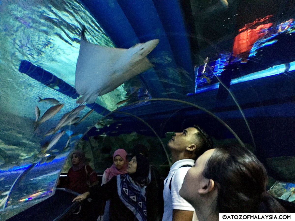 "Living Ocean" Oceanarium, Aquaria KLCC - A to Z of Malaysia