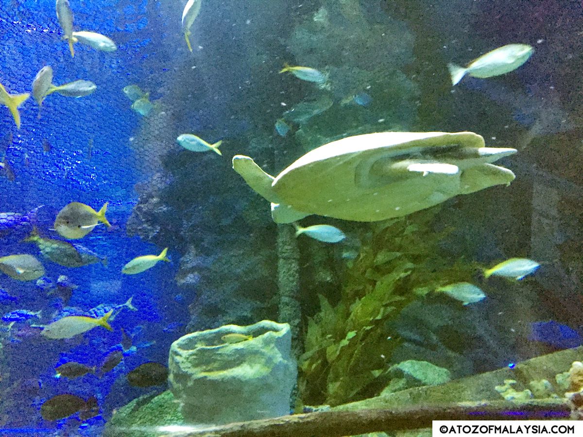 "Living Ocean" Oceanarium, Aquaria KLCC - A to Z of Malaysia